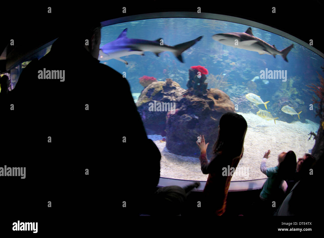 Germany, Deutschland, Berlin, Zoo, Aquarium Stock Photo - Alamy