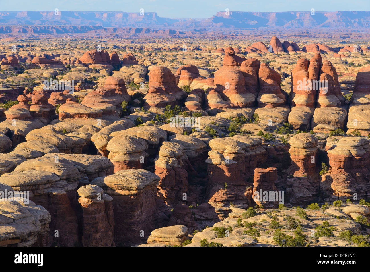 Rock formations, The Needles section of Canyonlands National Park, Utah ...