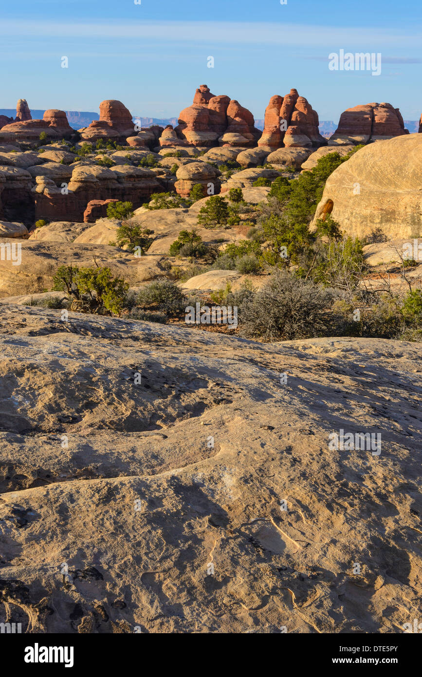 Rock formations, The Needles section of Canyonlands National Park, Utah ...