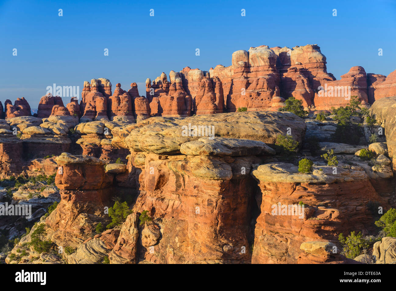 Rock formations, The Needles section of Canyonlands National Park, Utah ...