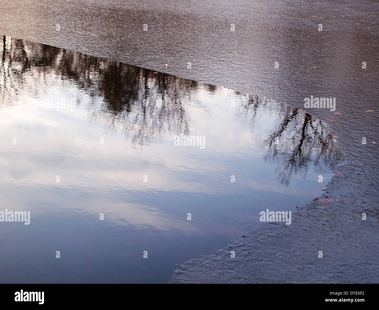 On winter cold pond hi-res stock photography and images - Alamy