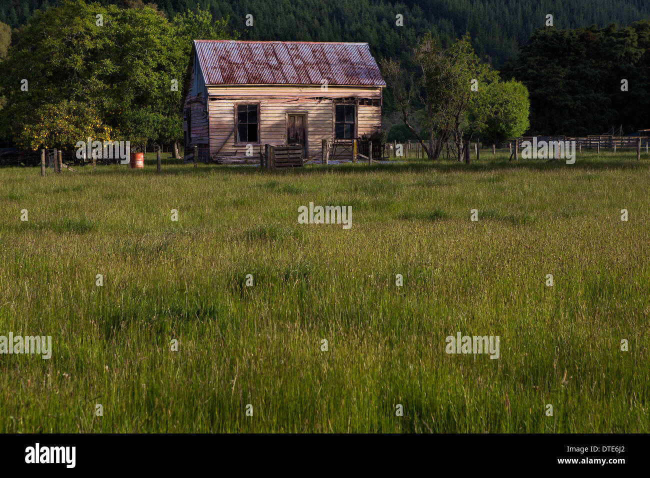 Rundown barn in the Wai-lti Valley, Tasman, New Zealand Stock Photo - Alamy