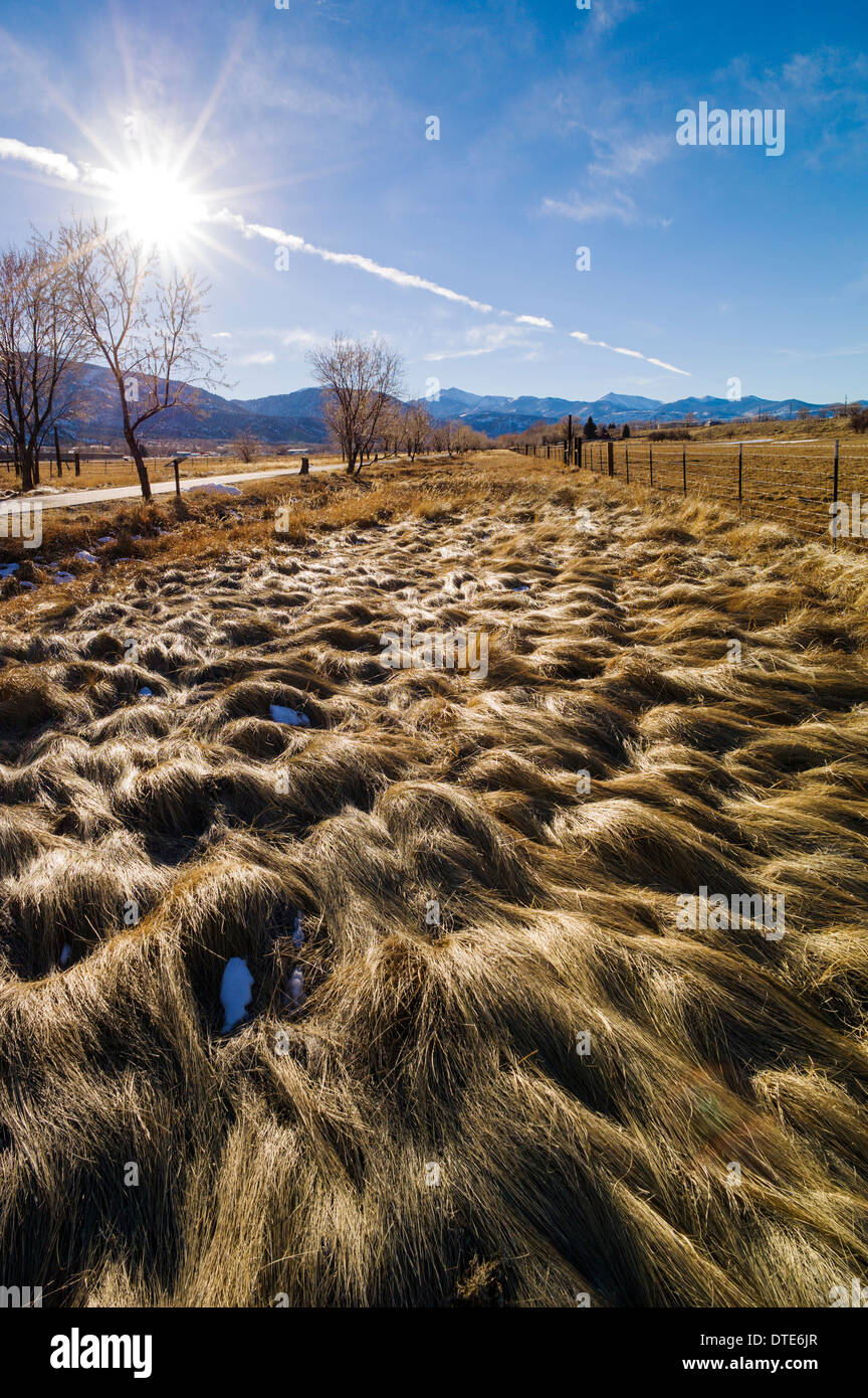 Pasture land grass hi-res stock photography and images - Alamy