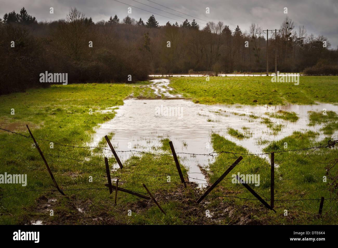 Field water floods road hi-res stock photography and images - Alamy