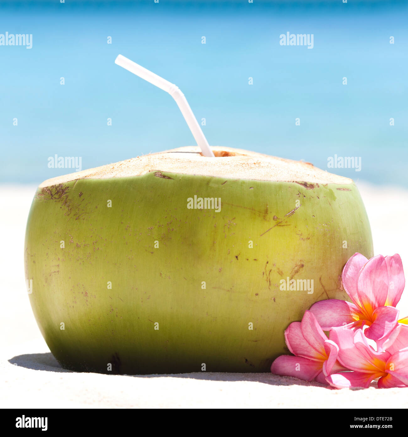 Tropical fresh coconut cocktail decorated plumeria on white beach Stock ...
