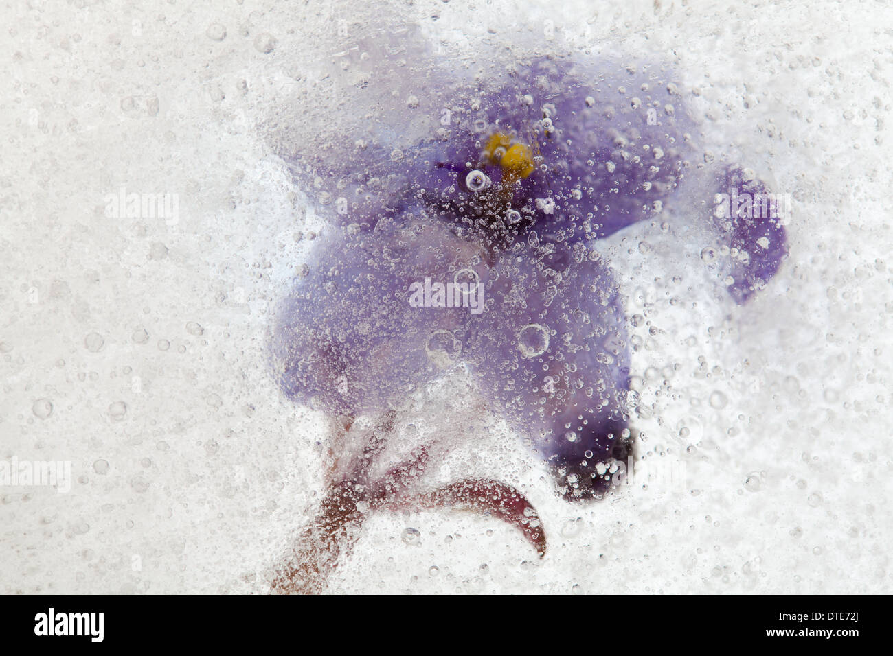 Dead drop hidden hi-res stock photography and images - Alamy