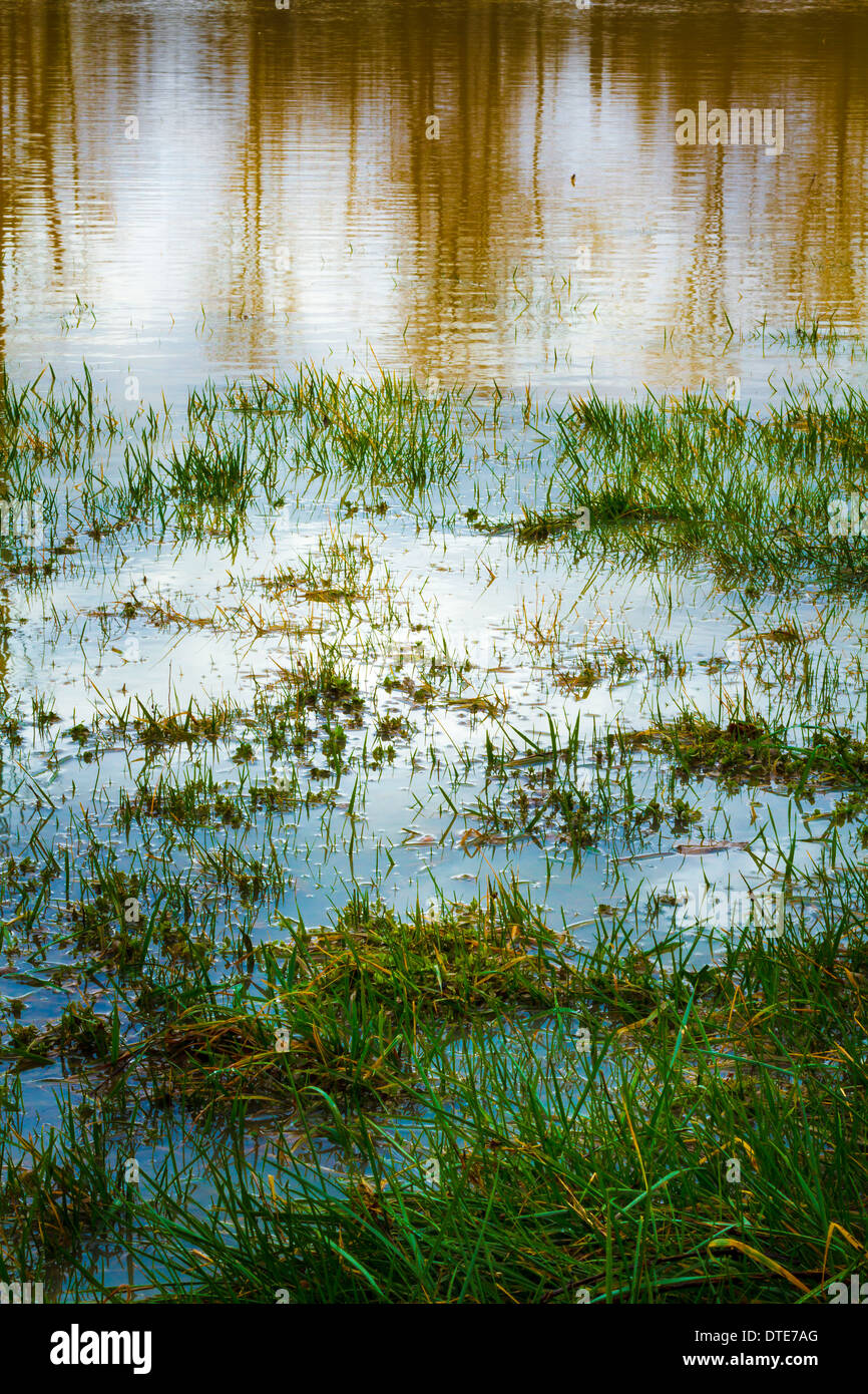 Murky flood hi-res stock photography and images - Alamy