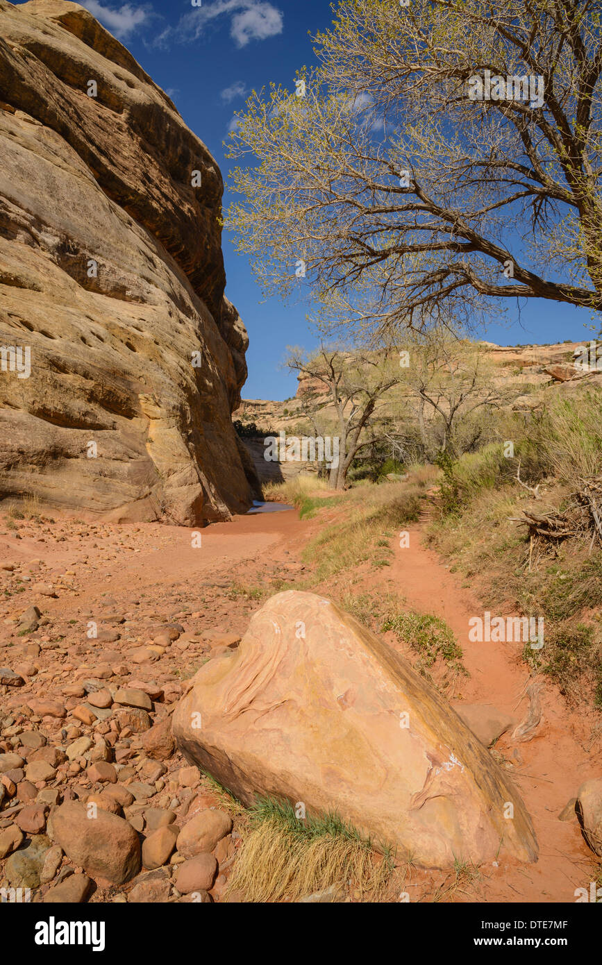 Natural bridges hi-res stock photography and images - Alamy