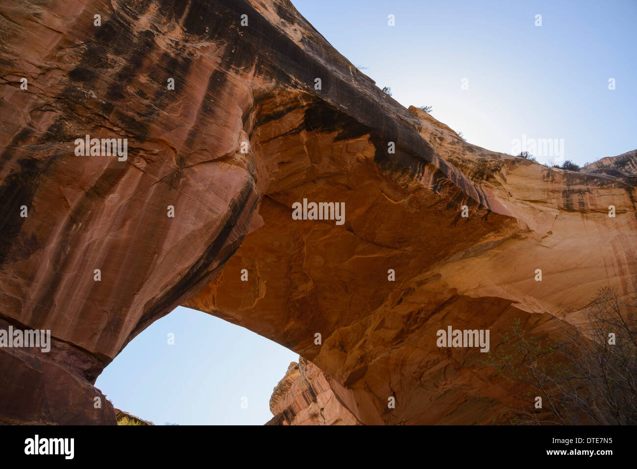 Kachina Bridge, Natural Bridges National Monument, Utah, USA Stock ...