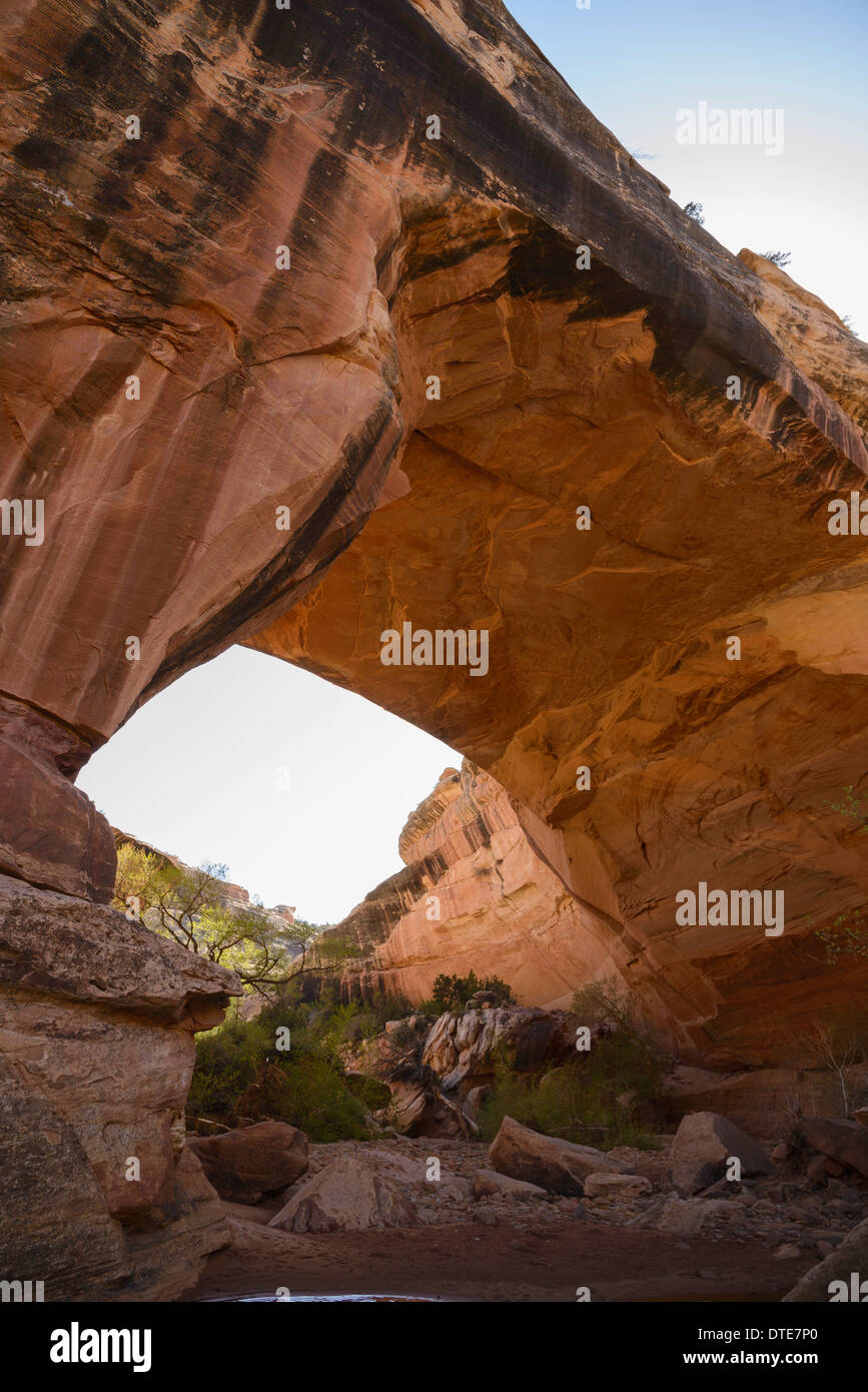 Kachina Bridge, Natural Bridges National Monument, Utah, USA Stock ...