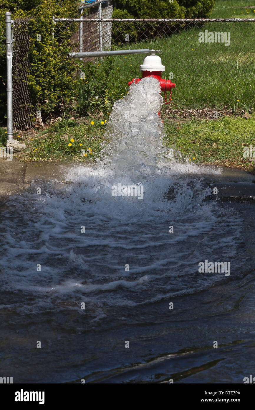 A damaged red fire hydrant spraying water on the city street municipal ...