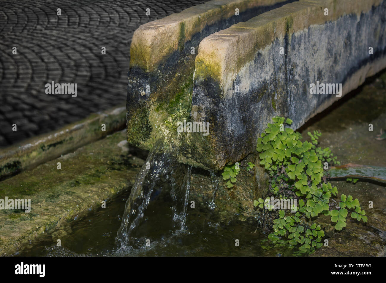 old watercourse of sand stone with moss Stock Photo - Alamy