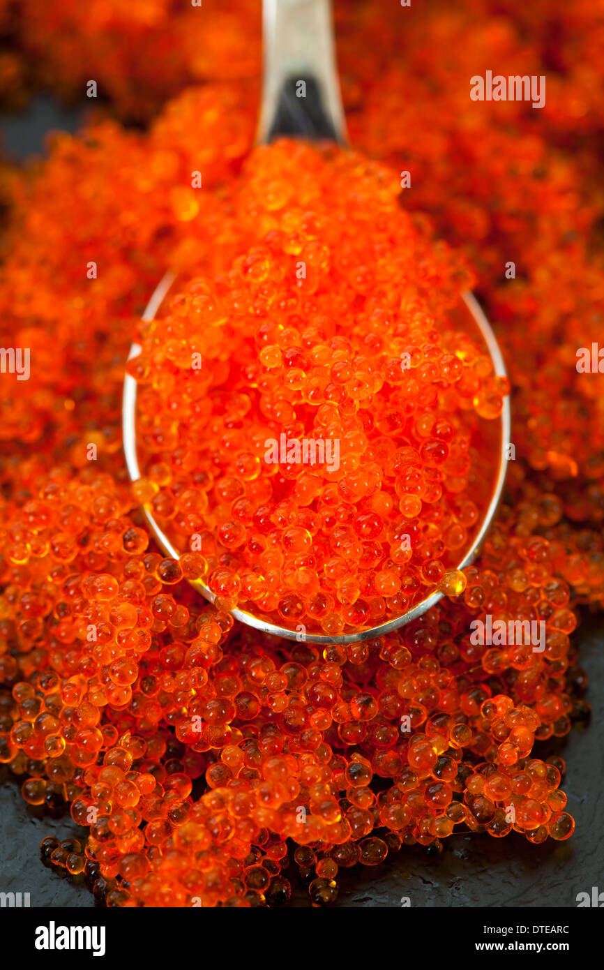 Flying Fish Roe High Resolution Stock Photography and Images - Alamy