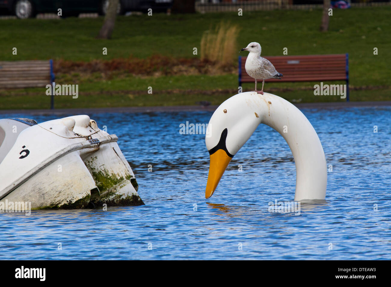 Canoe Lake Southsea Stock Photo - Alamy