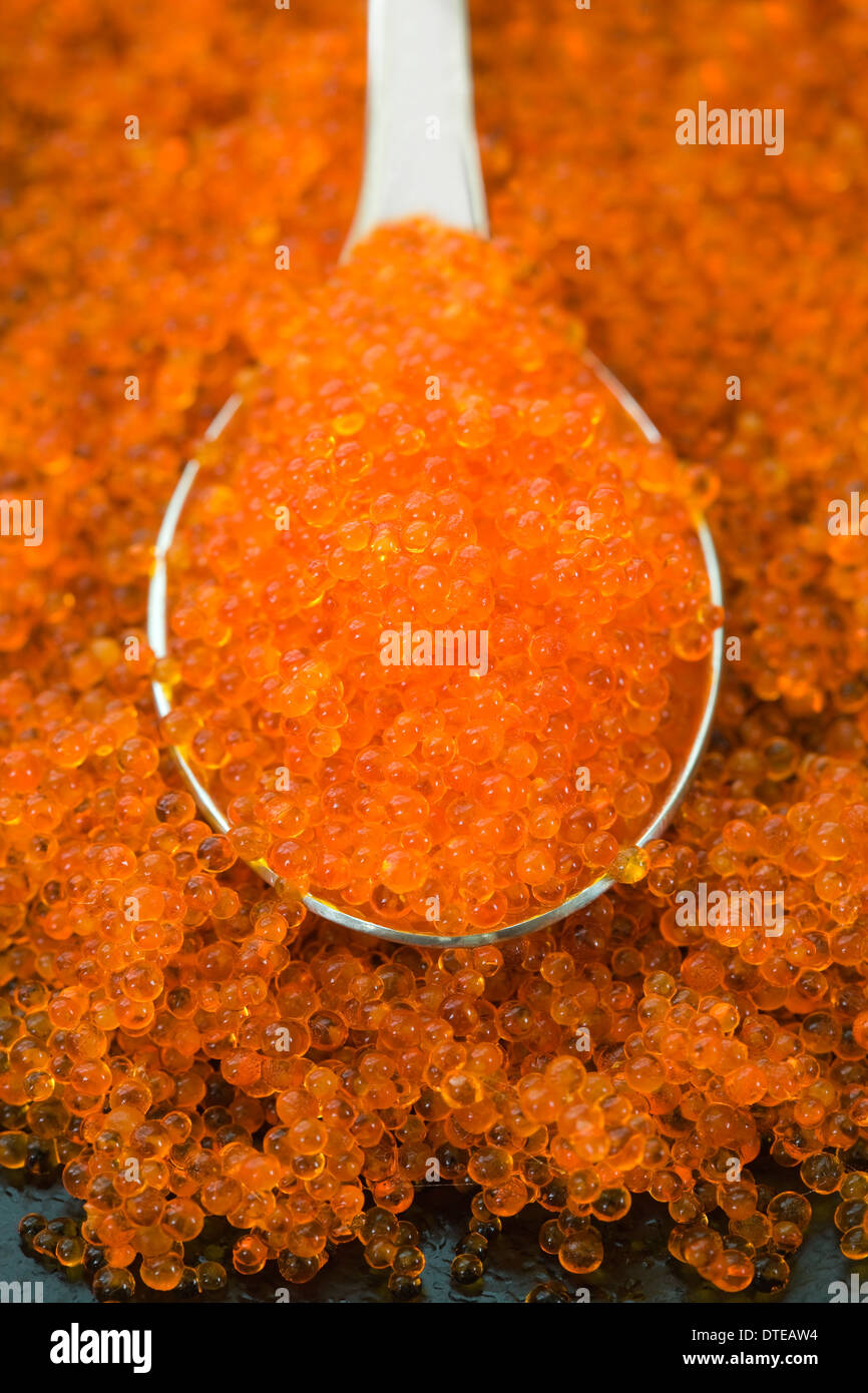 Tobiko or Flying Fish Roe - An example of the strange or weird food ...