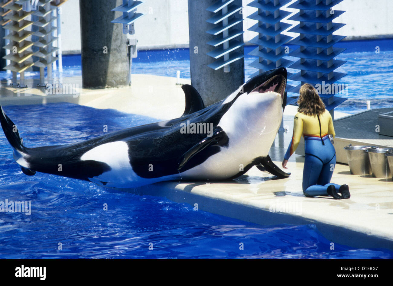 Orca Stadium High Resolution Stock Photography and Images - Alamy