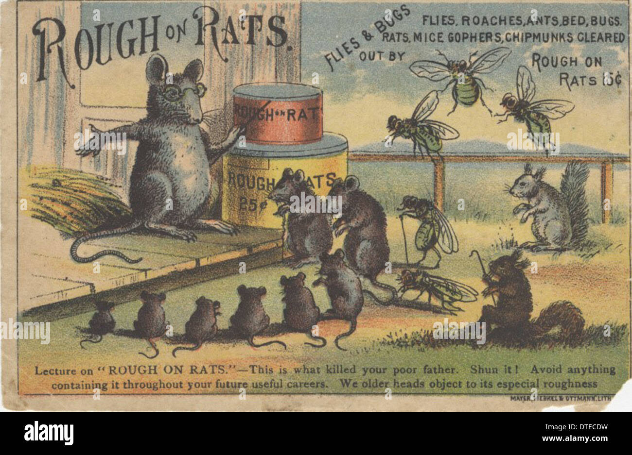 E.S. Wells advertisement showcasing animals like ants, flies, and ...