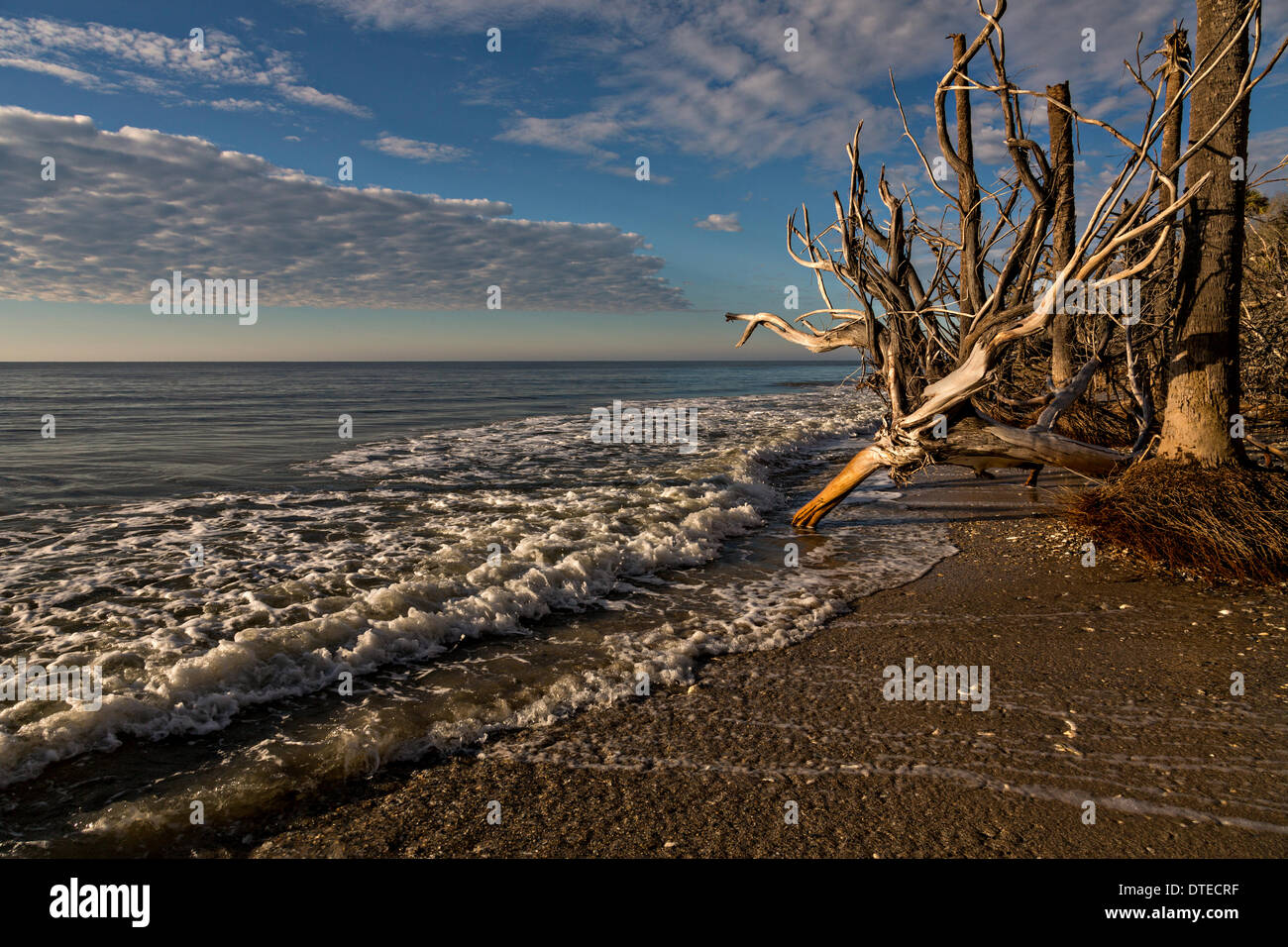 Botany bay plantation hi-res stock photography and images - Alamy