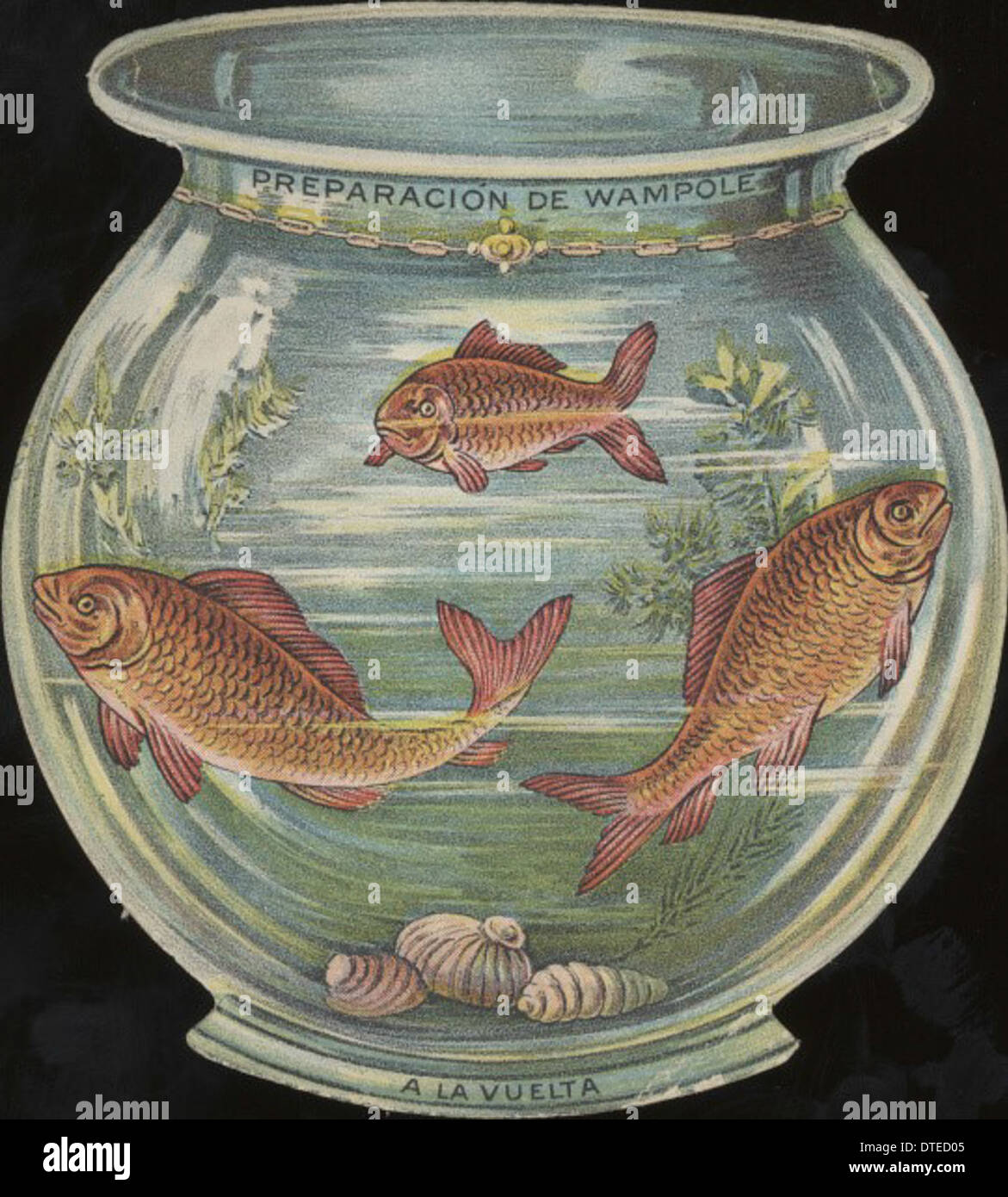 Wampole High Resolution Stock Photography and Images - Alamy