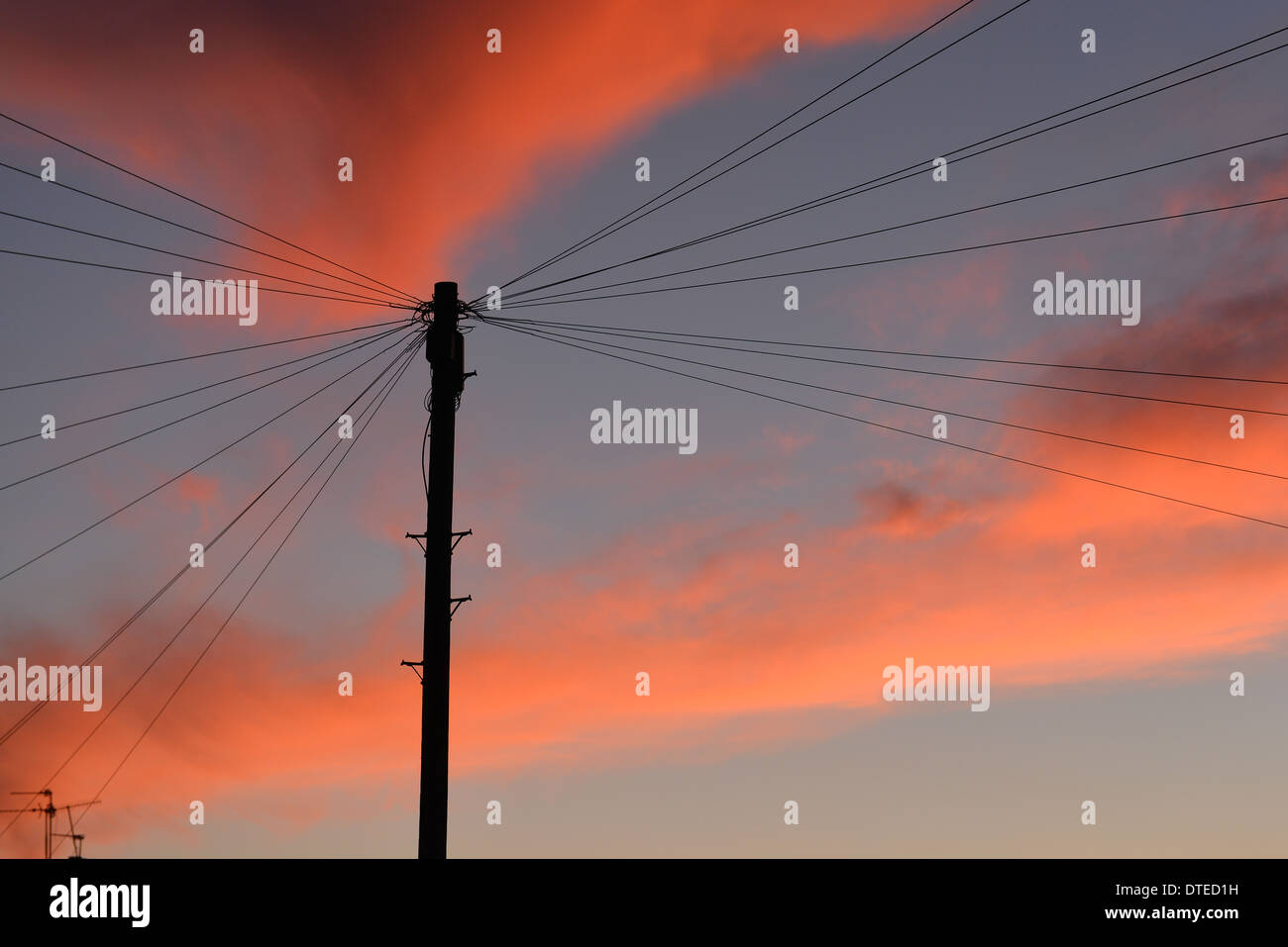 Powerlines at sunset Stock Photo - Alamy