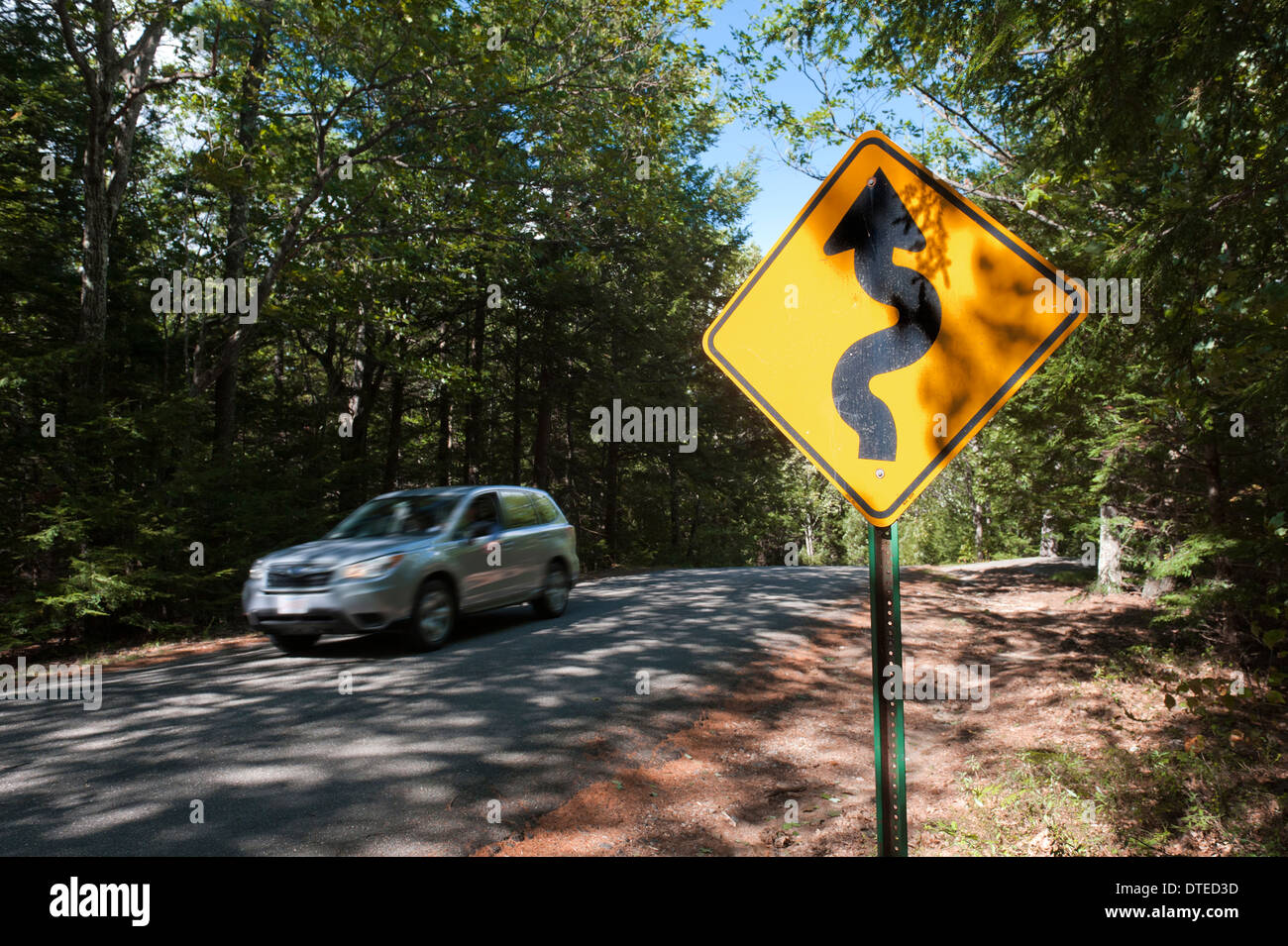 Curvy Road Car Sign