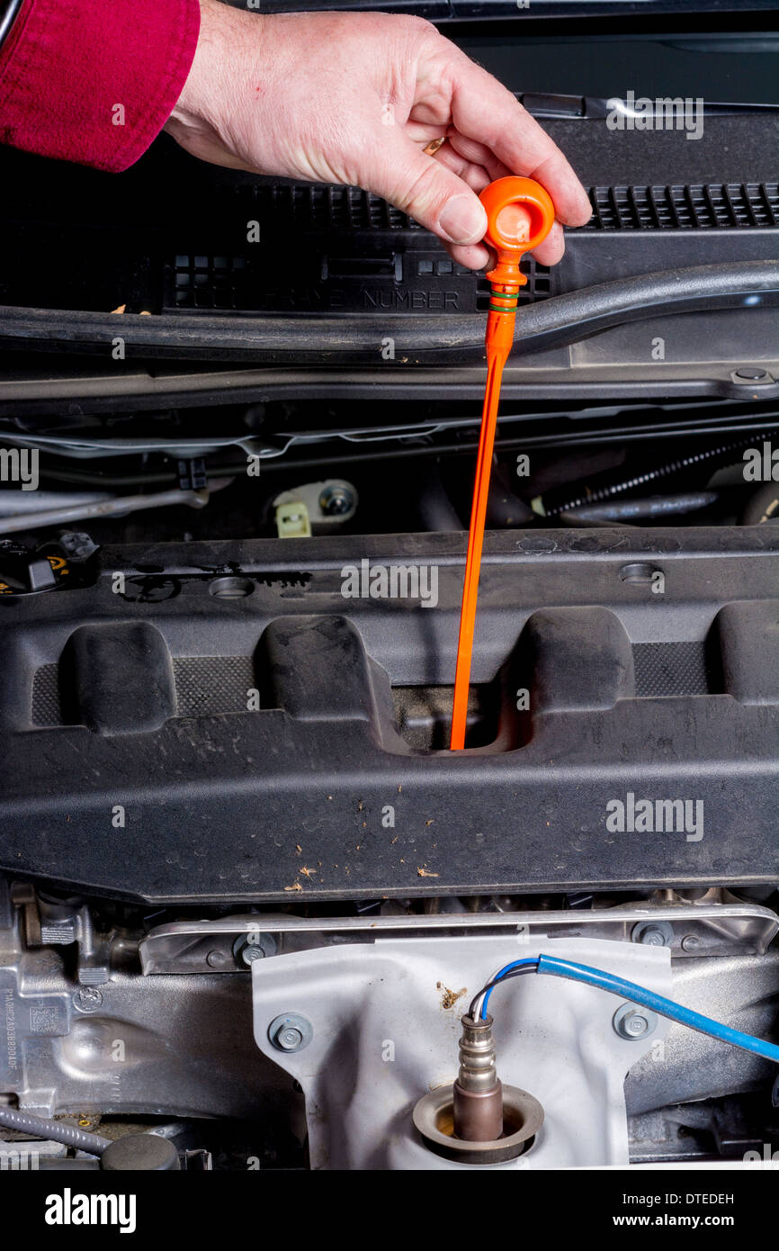 Pulling dipstick out of a car engine to check the oil Stock Photo - Alamy