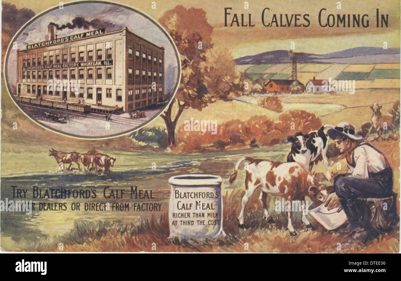 Blatchford's Calf Meal Stock Photo - Alamy