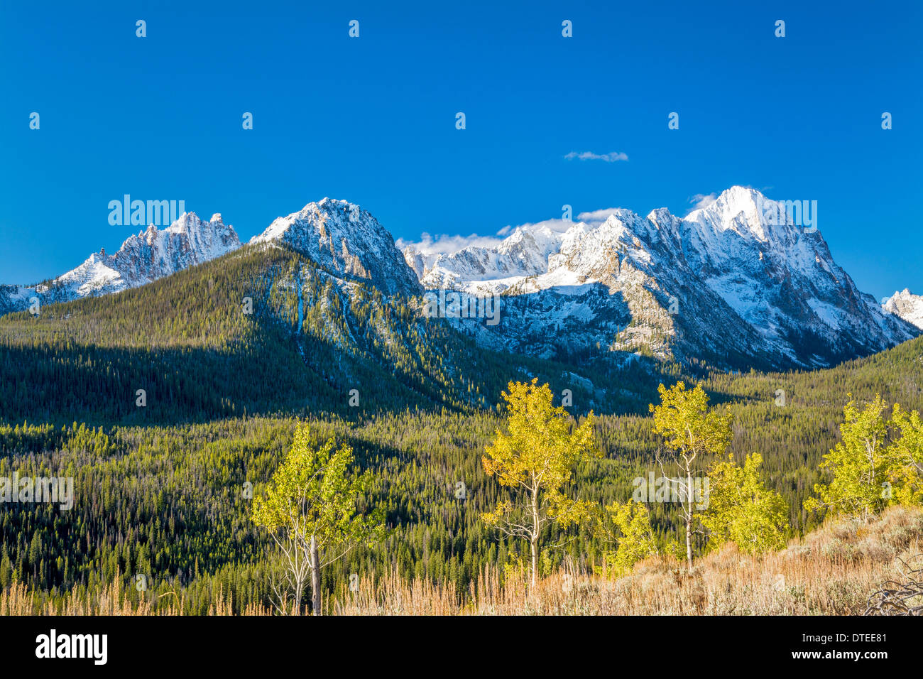 Idaho mountains forest in hi-res stock photography and images - Alamy