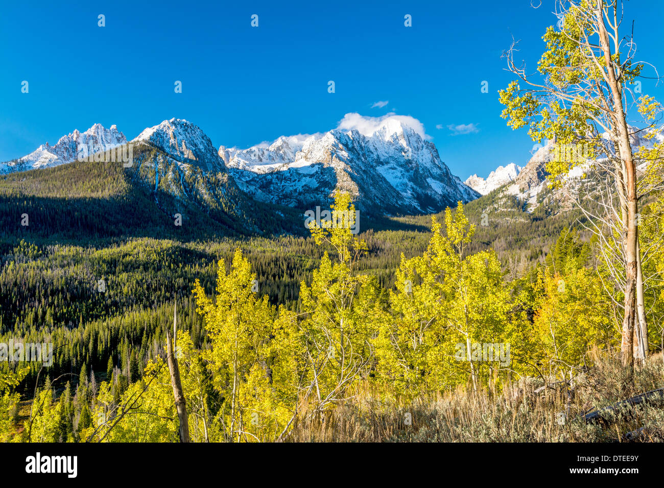 Valley with forest leading into a mountain range Stock Photo - Alamy