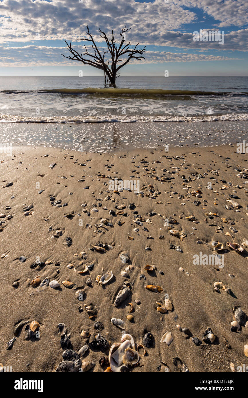 Botany bay beach edisto island south carolina hi-res stock photography ...