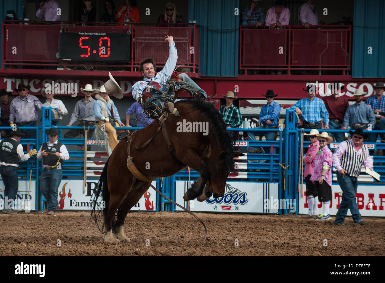 Tucson, Arizona, USA. 16th Feb, 2014. BRIAN BAIN rides ''Long Ago ...