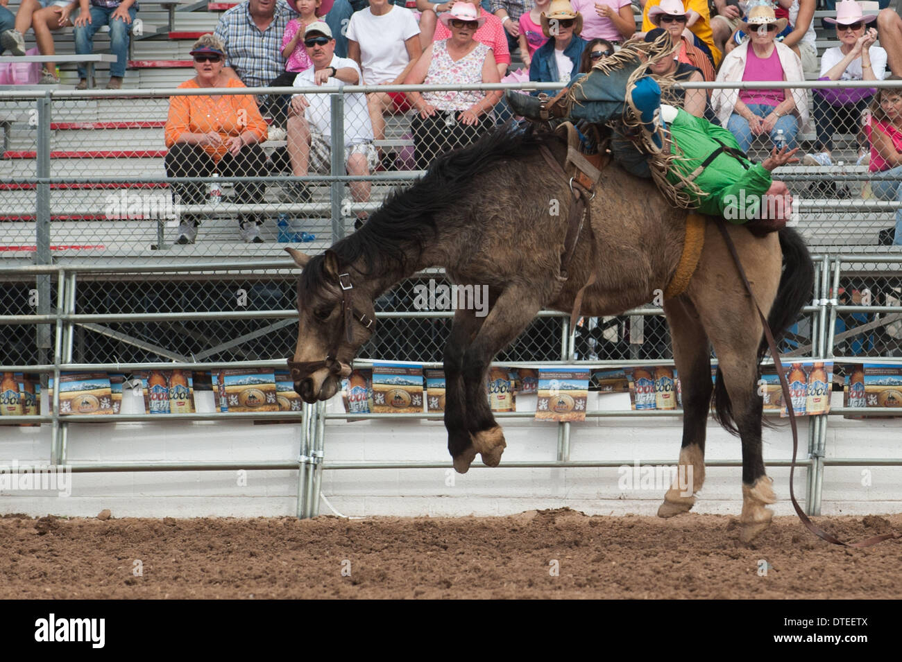 Tucson, Arizona, USA. 16th Feb, 2014. CAINE RIDDLE rides ''Sandman ...