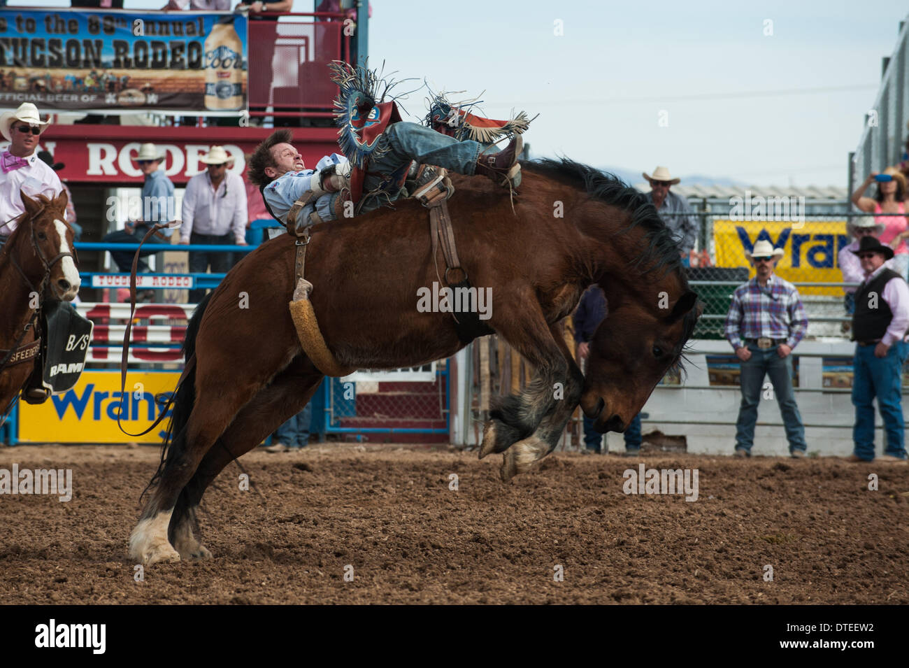 Tucson, Arizona, USA. 16th Feb, 2014. BRIAN BAIN rides '' Long Ago ...