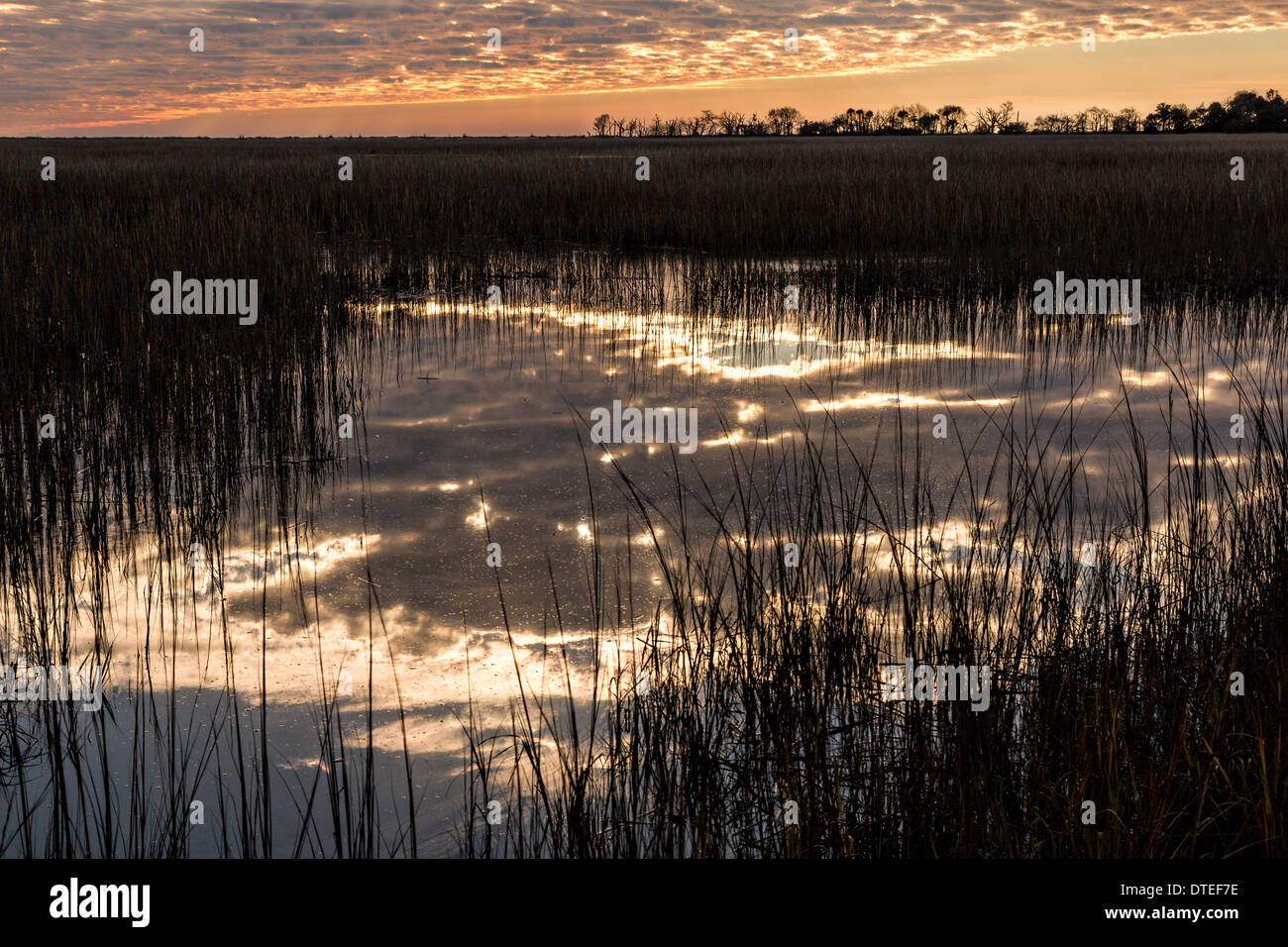 Sunrise over Botany Bay and marsh in Edisto Island, South Carolina ...