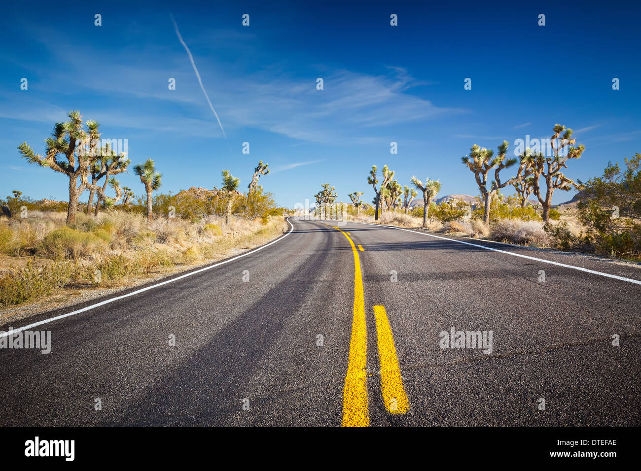 Mojave desert joshua tree road hi-res stock photography and images - Alamy