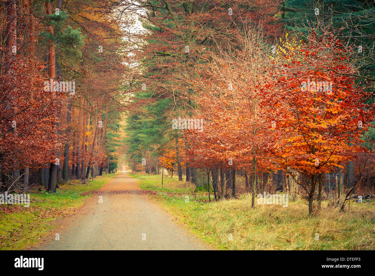 Park pathway hi-res stock photography and images - Alamy