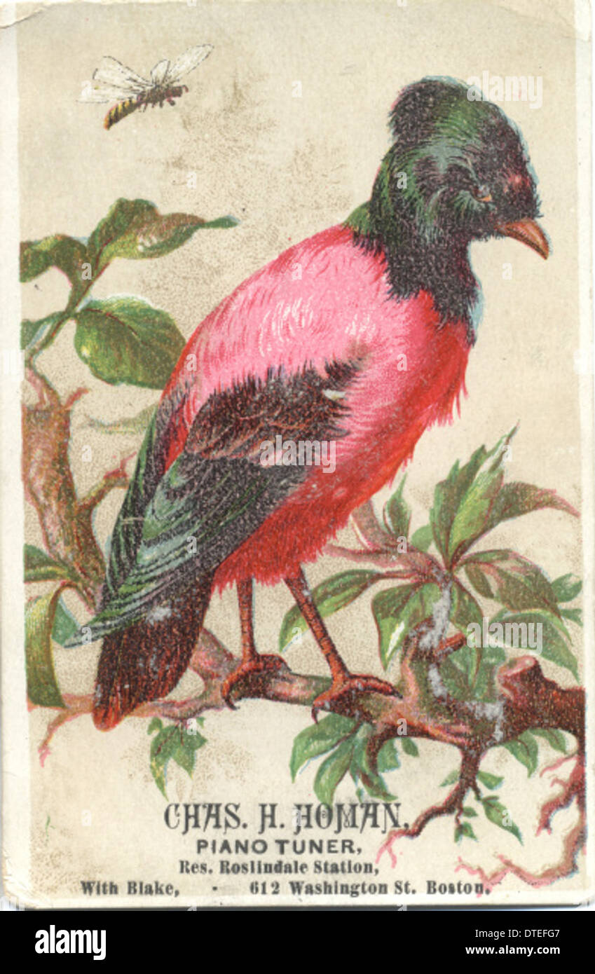 Charles homan hi-res stock photography and images - Alamy