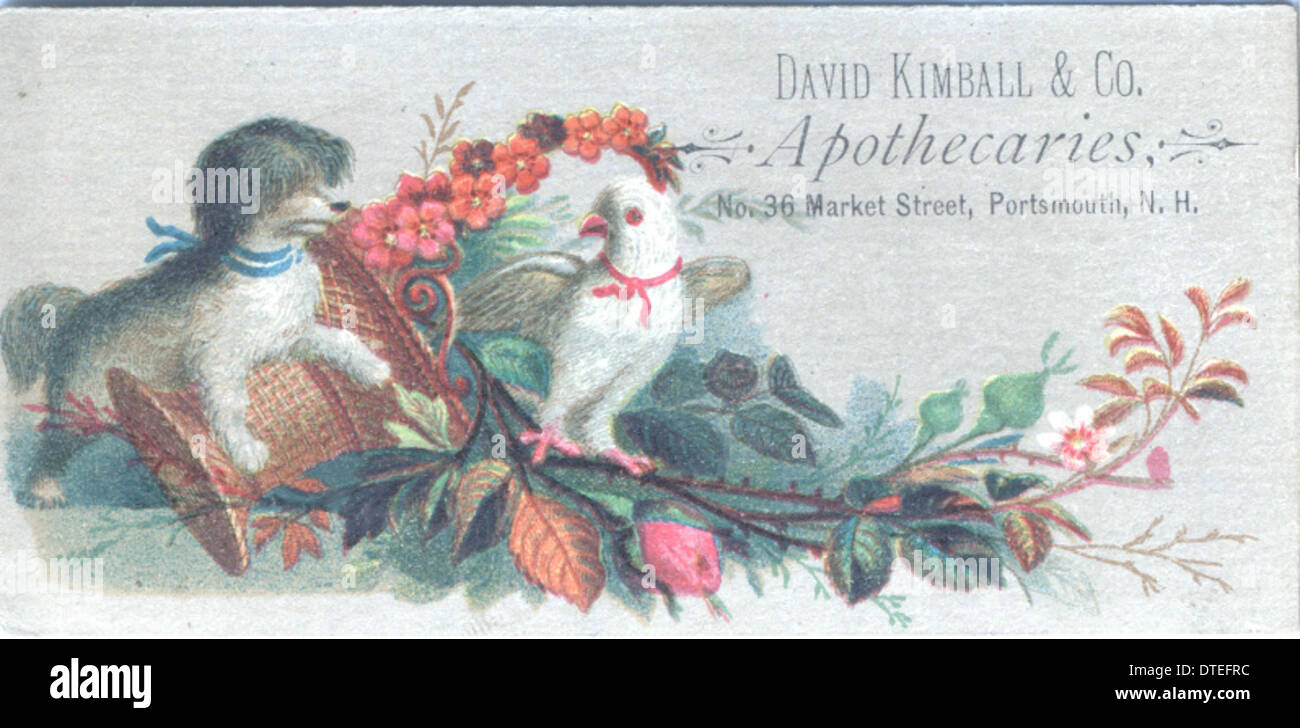 A vintage advertisement from David Kimball & Co. Apothecaries featuring ...