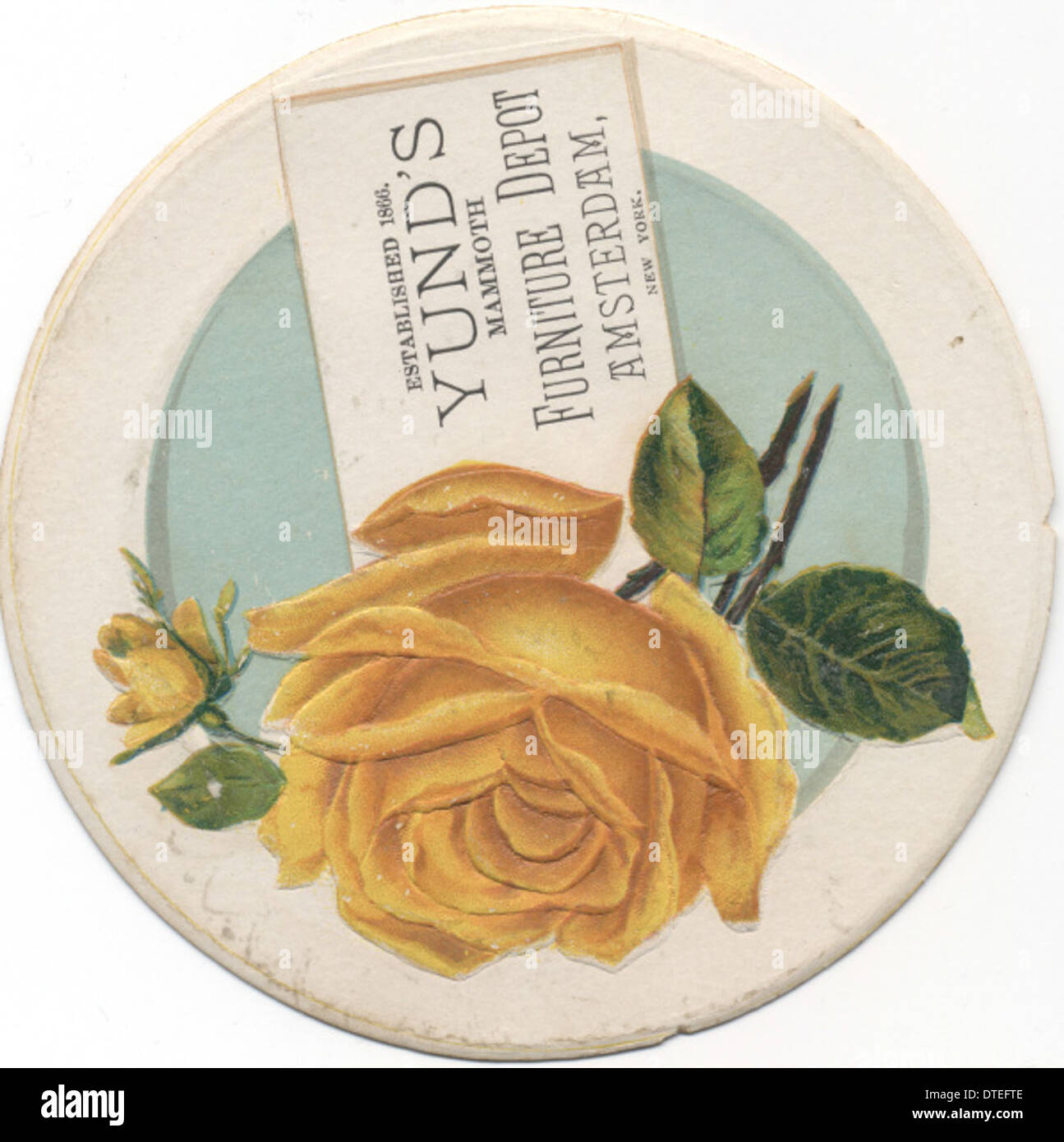 Mammoth collections hi-res stock photography and images - Alamy