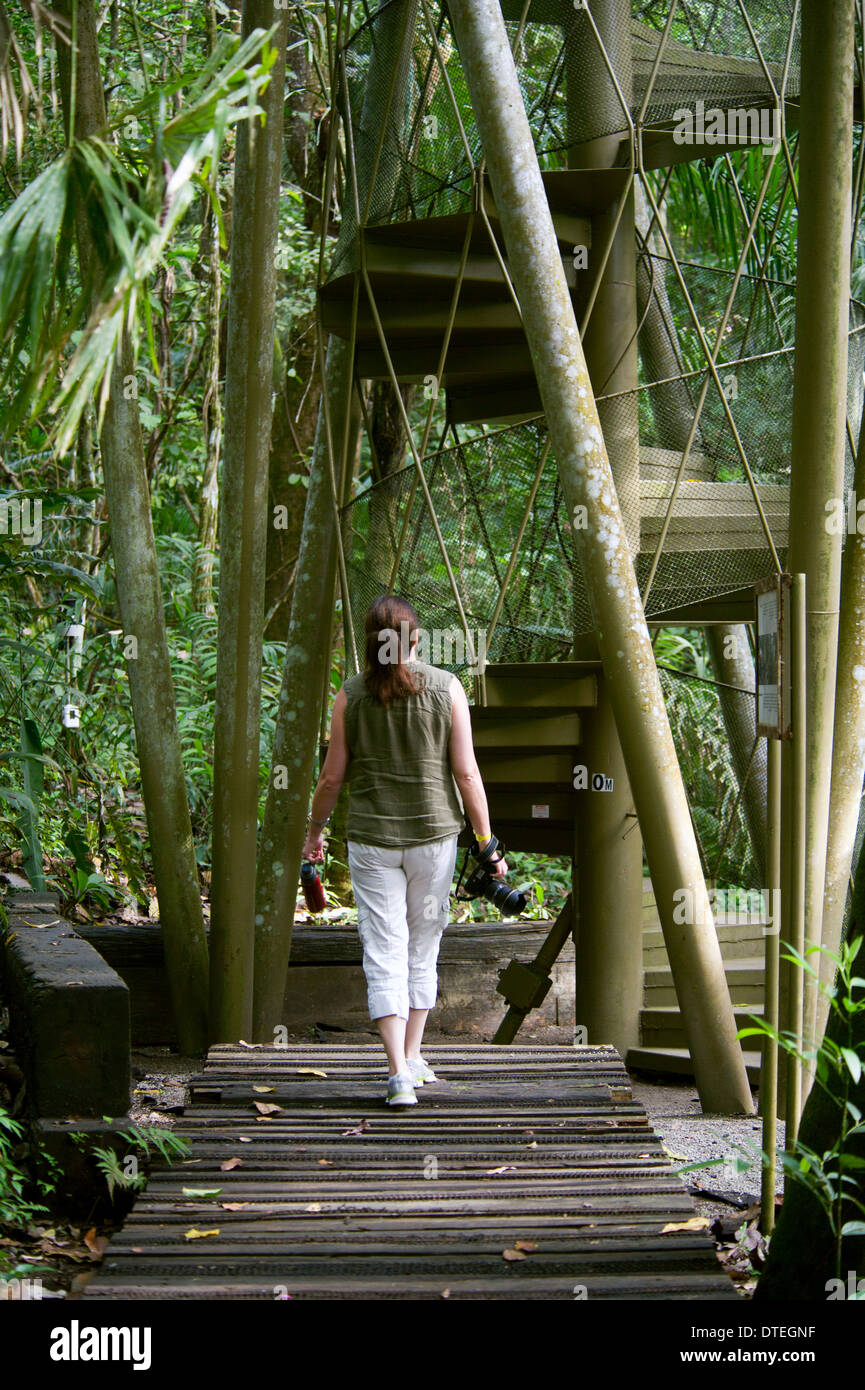 Observation tower in rain forest near Panama Canal Stock Photo - Alamy