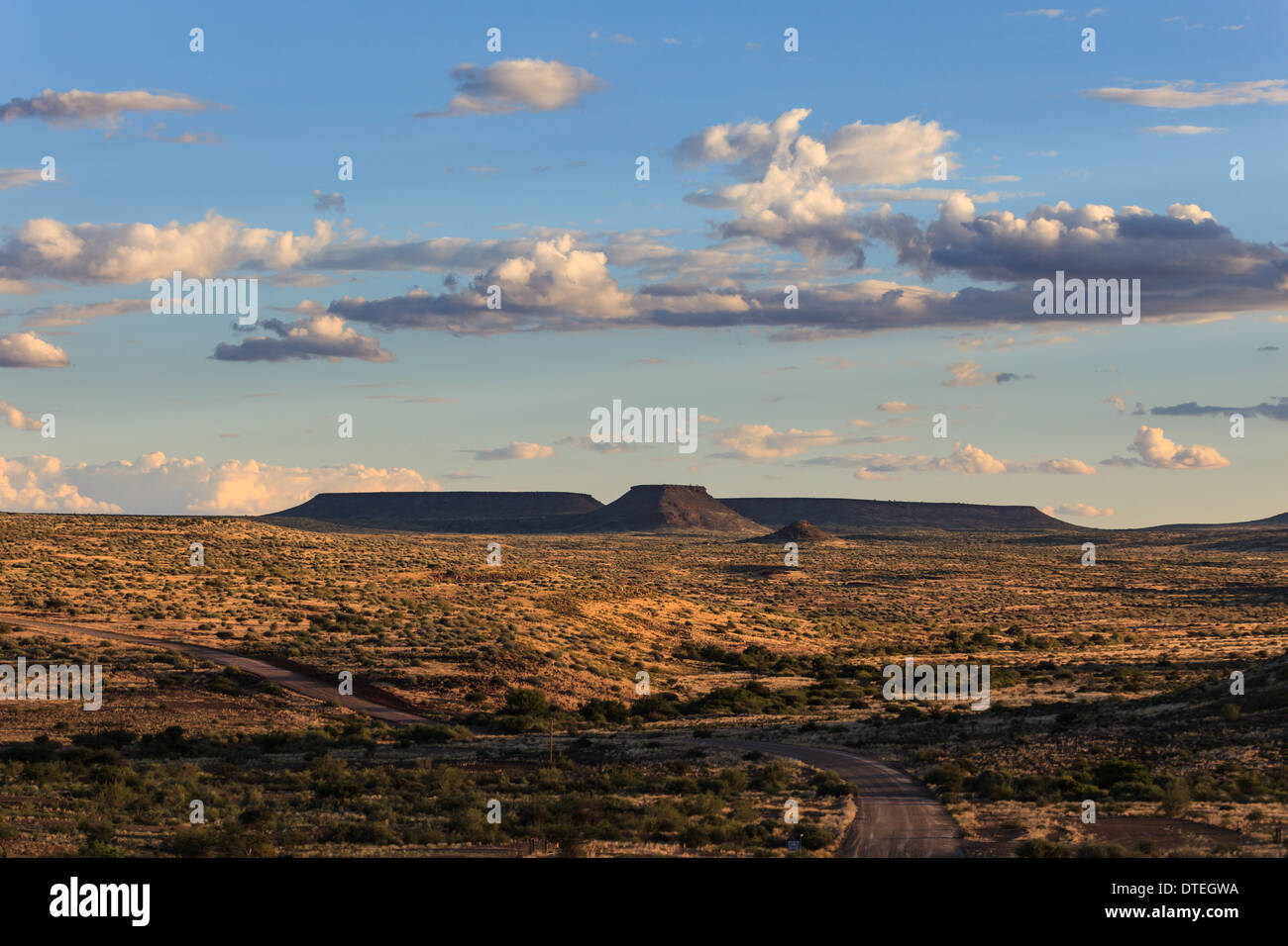 African scrub in desert landscape showing road heading toward mountains ...