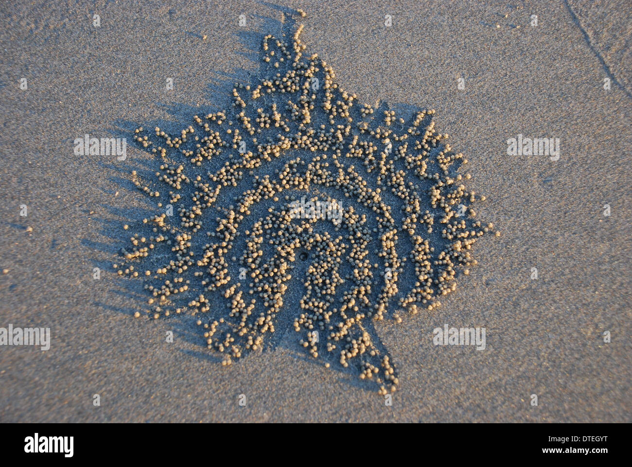 Bangladesh beach hi-res stock photography and images - Alamy