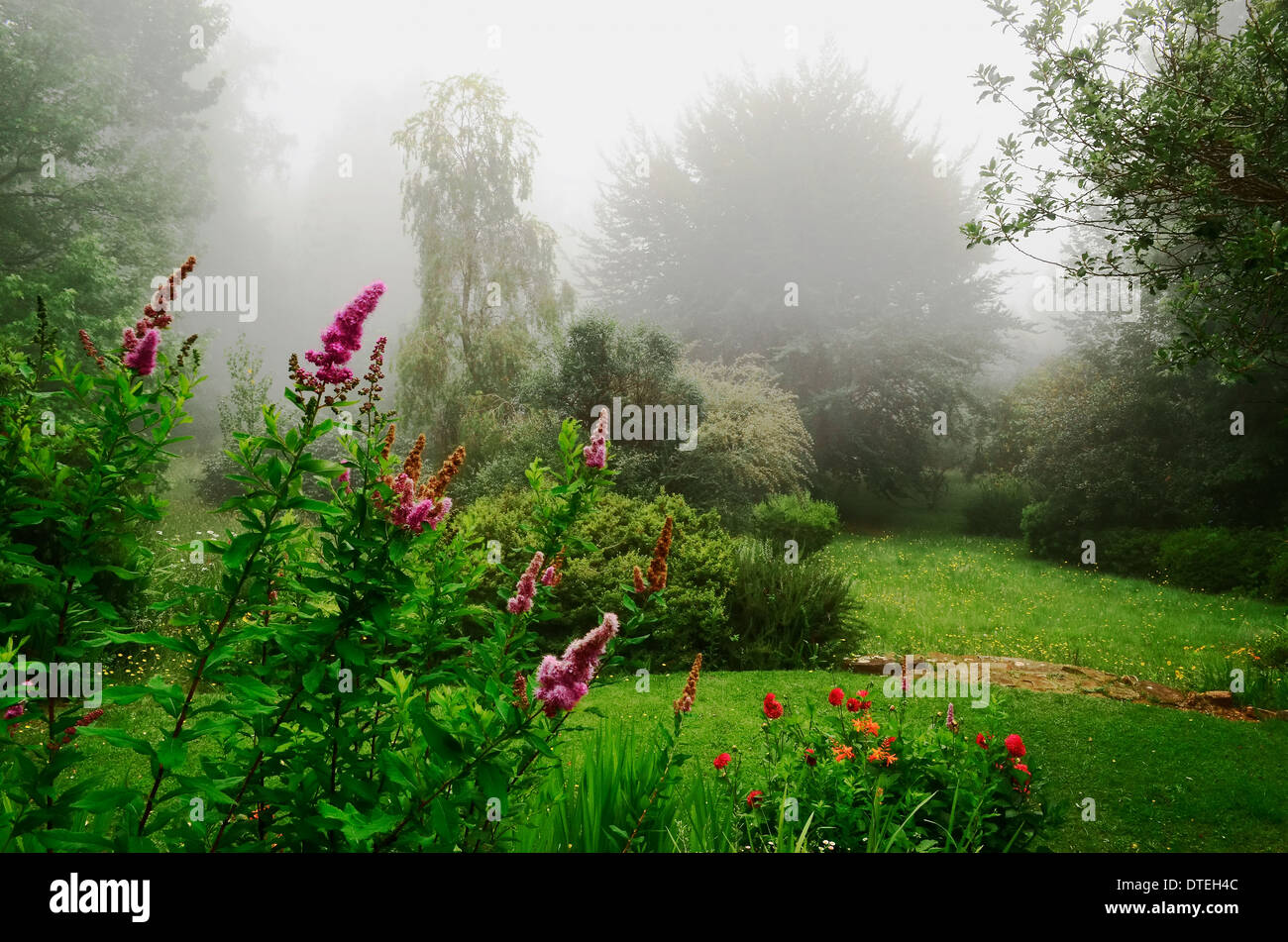 Garden in a foggy morning Stock Photo - Alamy
