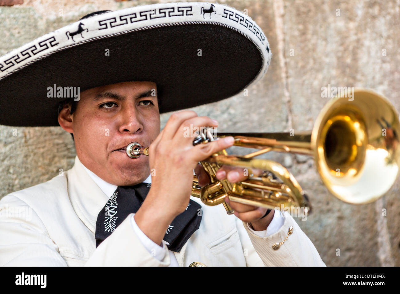 A mariachi band member dressed in traditional charro costume November 5 ...