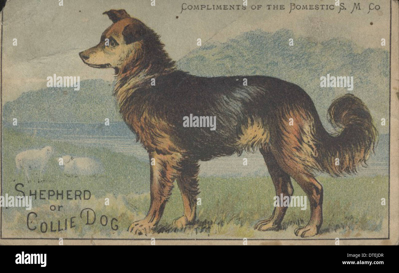 Domestic Sewing Machine Co High Resolution Stock Photography and Images ...