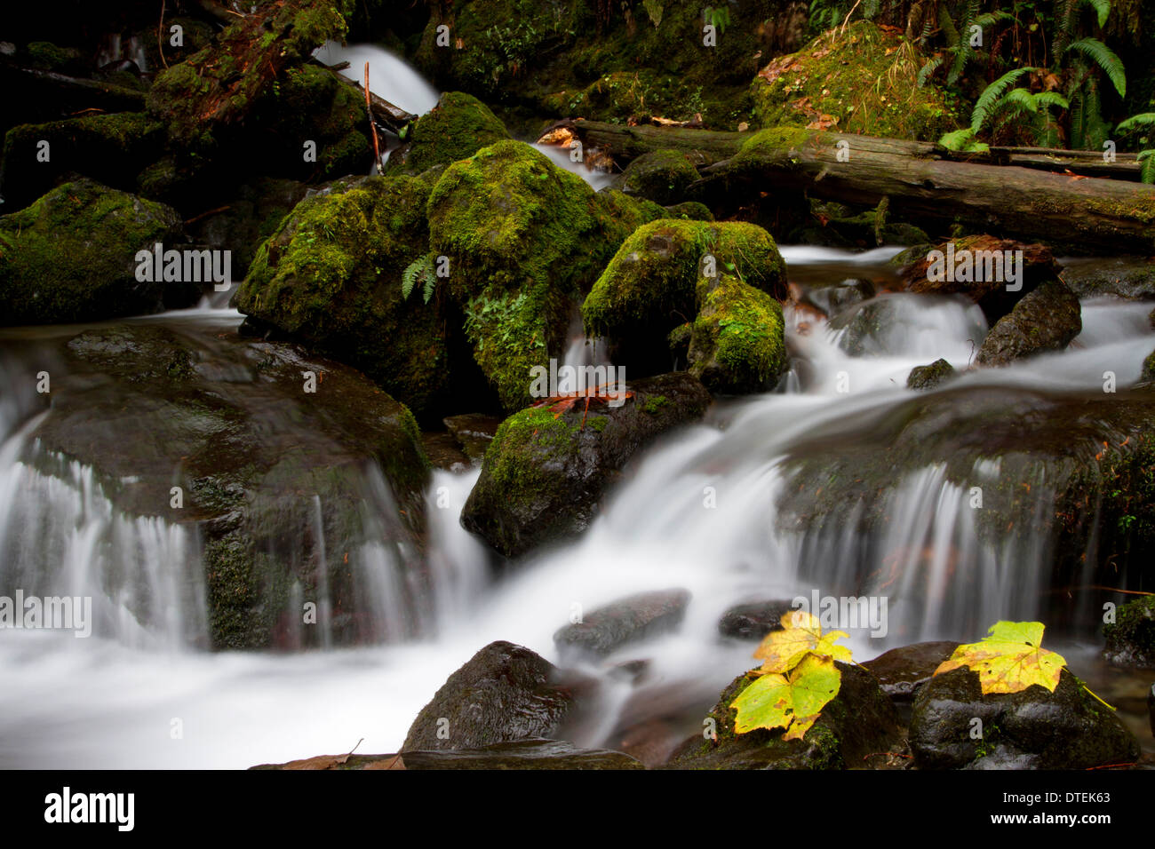 A scenic view of Merriman Falls (lower) South Shore Road of Lake ...