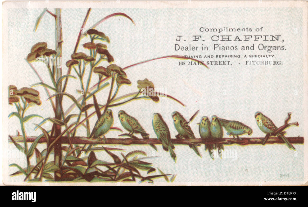 Chaffin hi-res stock photography and images - Alamy