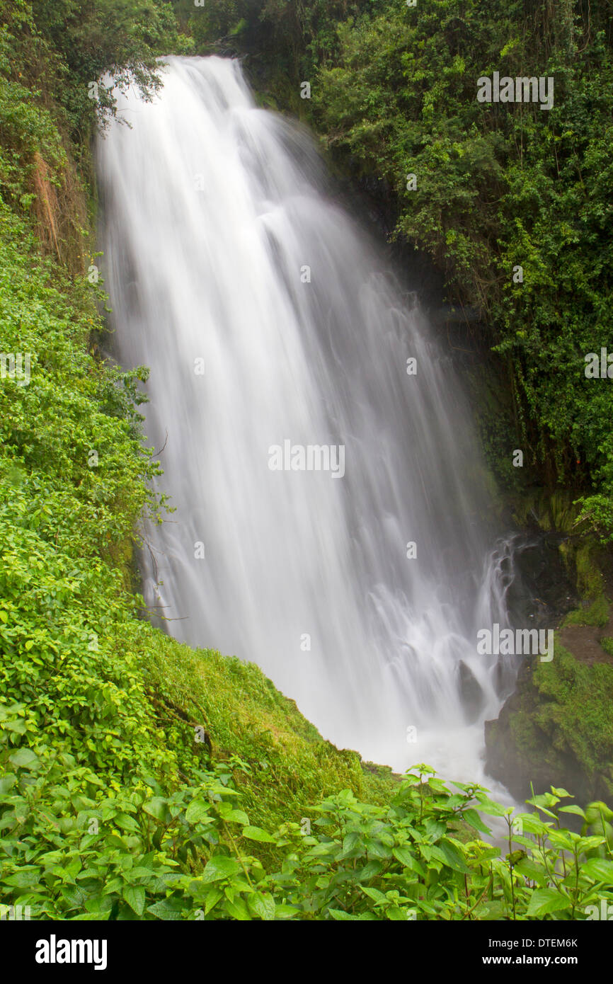 Peguche falls hi-res stock photography and images - Alamy