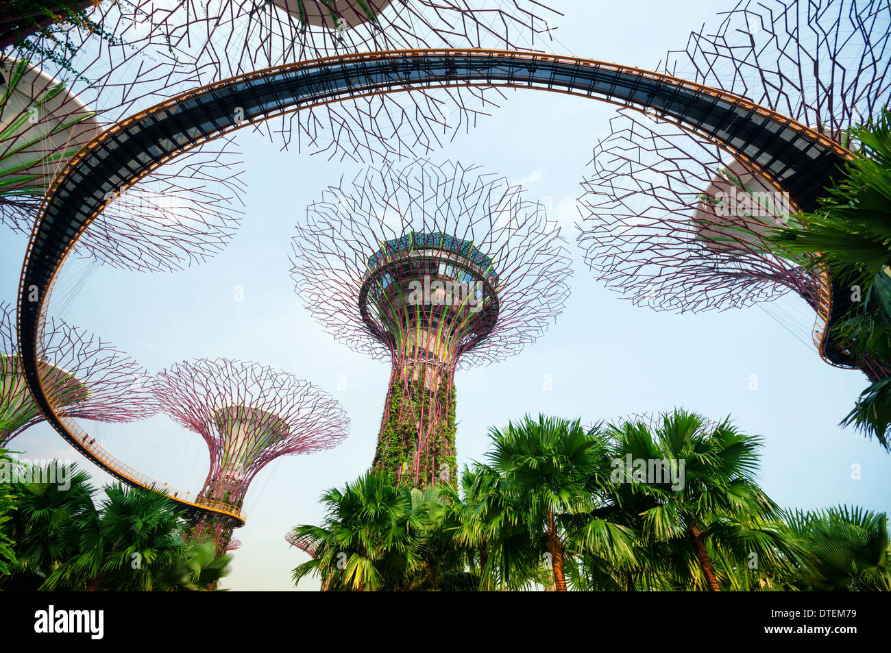 Singapore supertree hi-res stock photography and images - Alamy