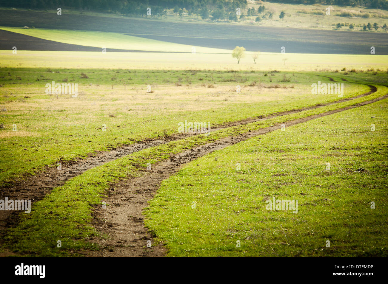 dirt road through the field Stock Photo - Alamy